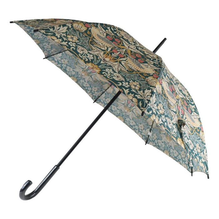 Designer Umbrellas Umbrellas