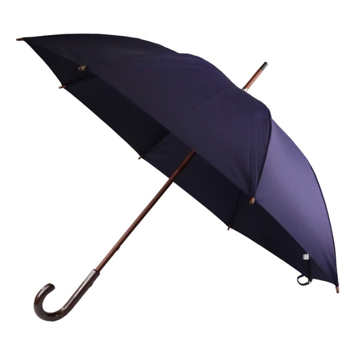 Buy stylish umbrella online store