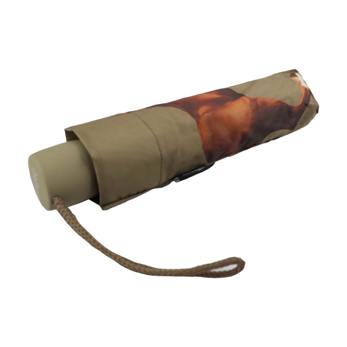 Best Compact Umbrellas 2025 | Umbrellas.co.uk