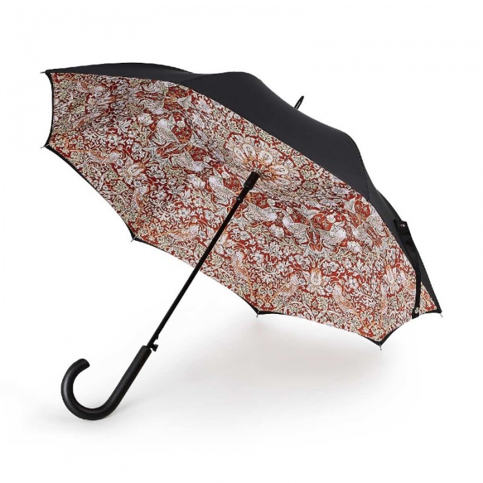 Designer Umbrellas Umbrellas